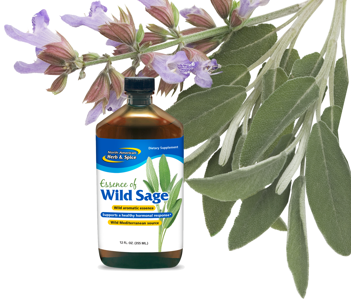 Sage - North American Herb & Spice