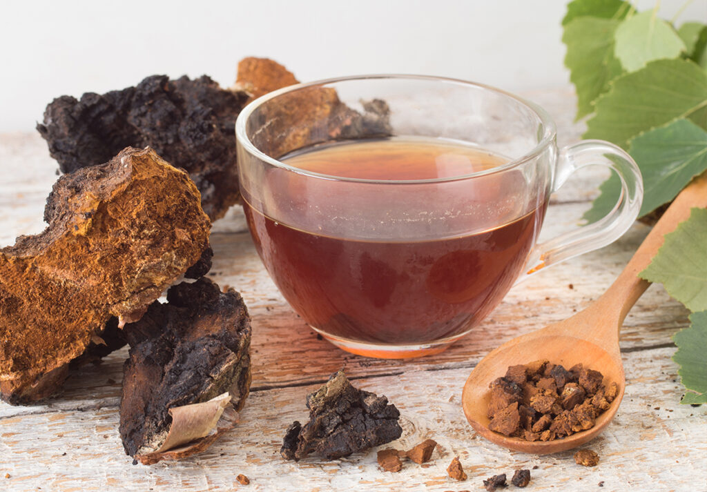 The “Mushroom of Immortality" Wild Chaga Mushroom Benefits Explained ...
